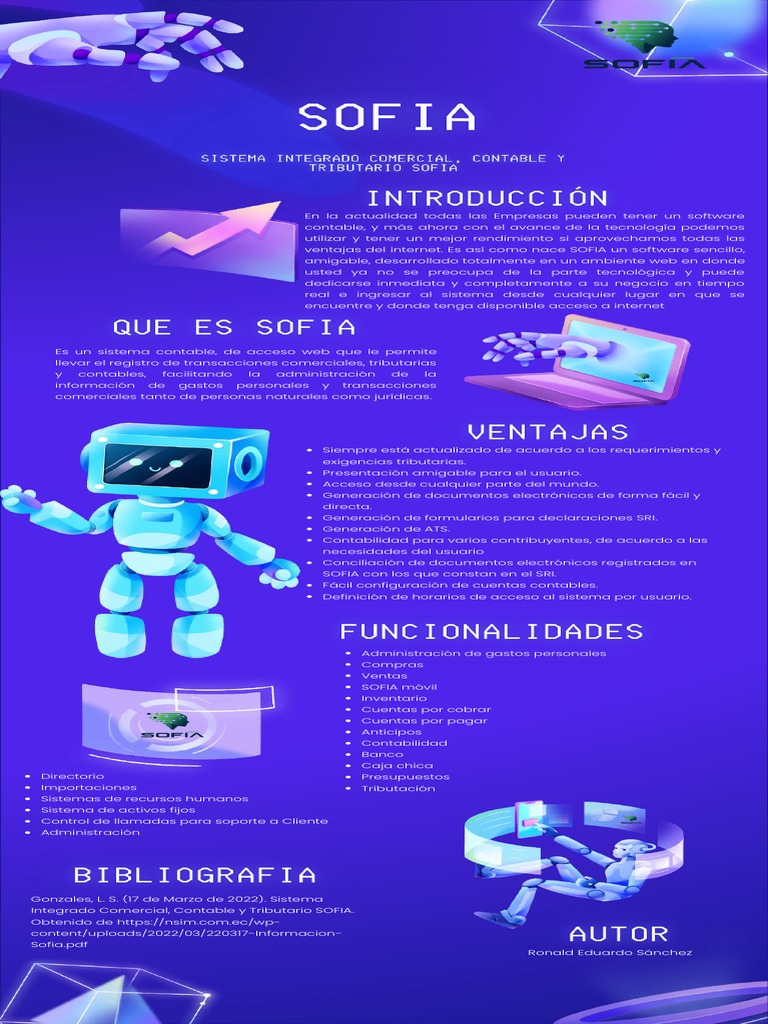 AAN°2 Sistema Modular e Integrado de Información Financiera SOFIA WEB | PDF | Contabilidad ...