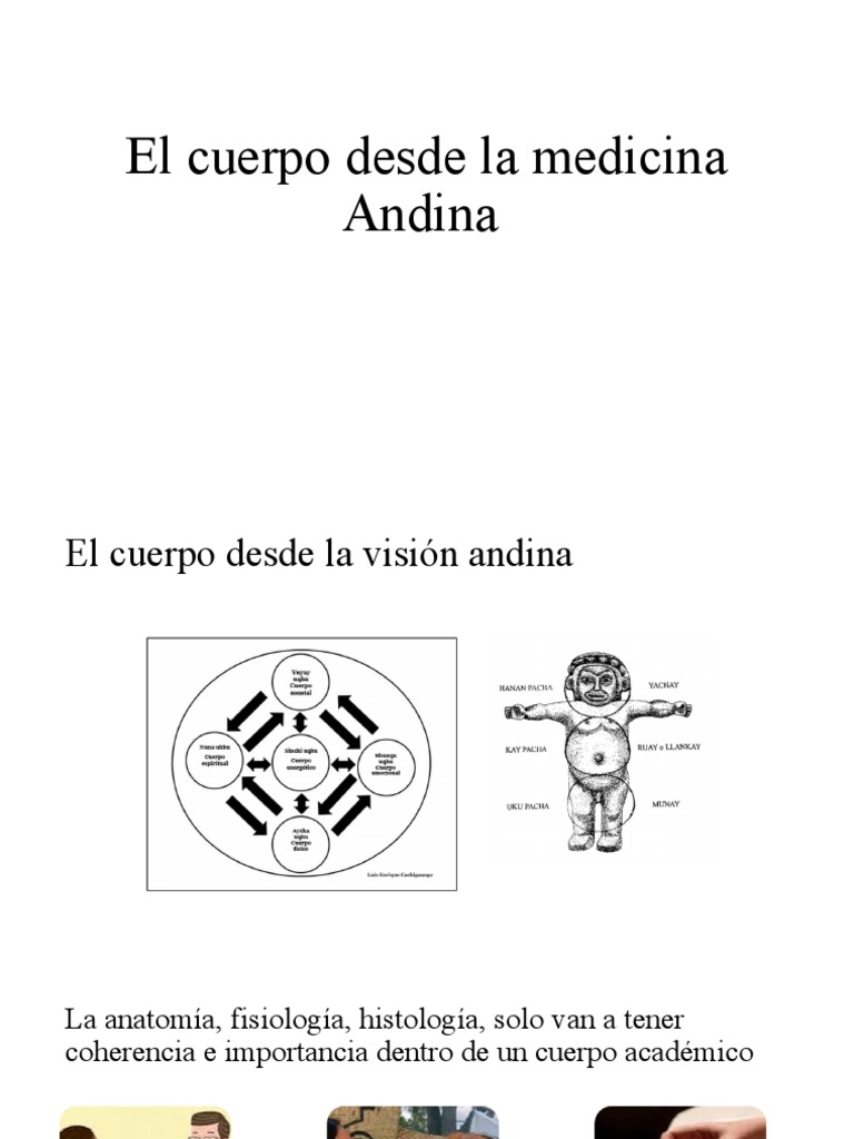 Energía y Cuerpo en la Medicina Andina | PDF | Paradigma | Medicina