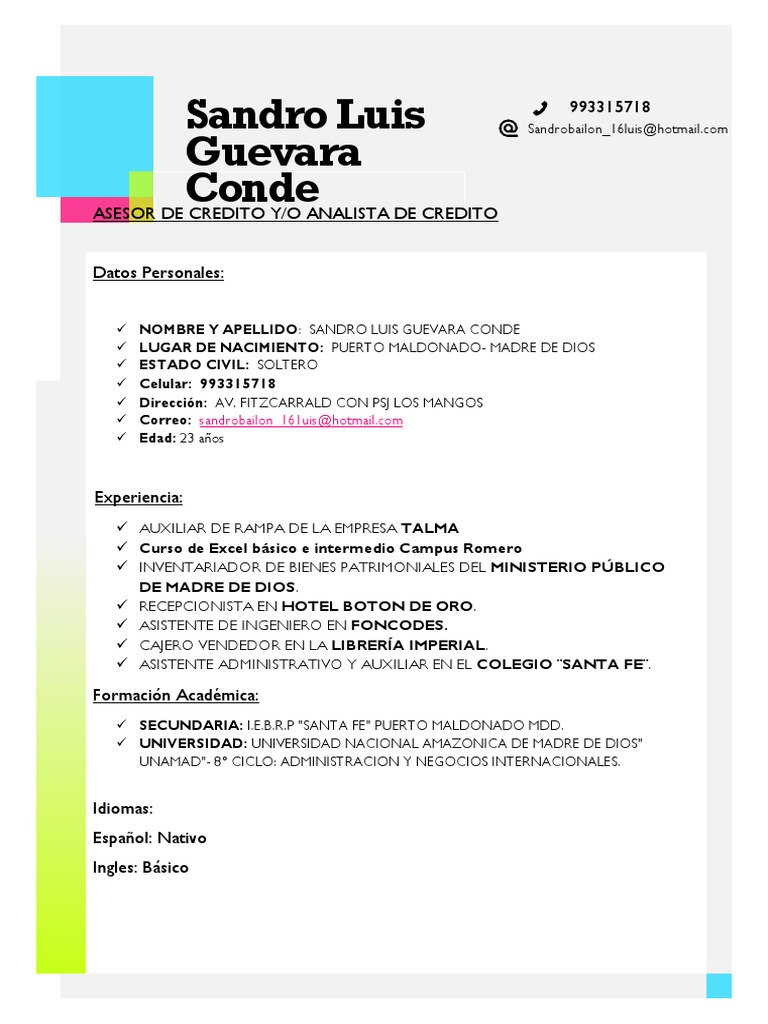 CV Sandro Guevara | PDF