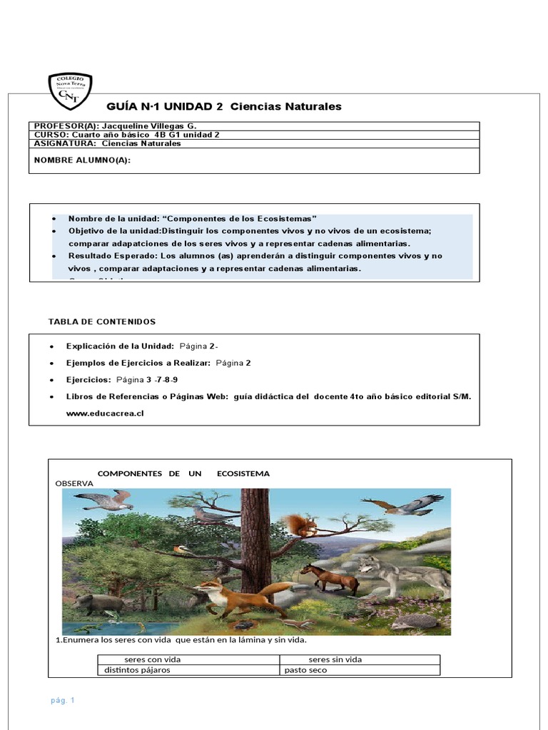 Componentes de Ecosistemas para 4° Básico | PDF | Aves | Ecosistema