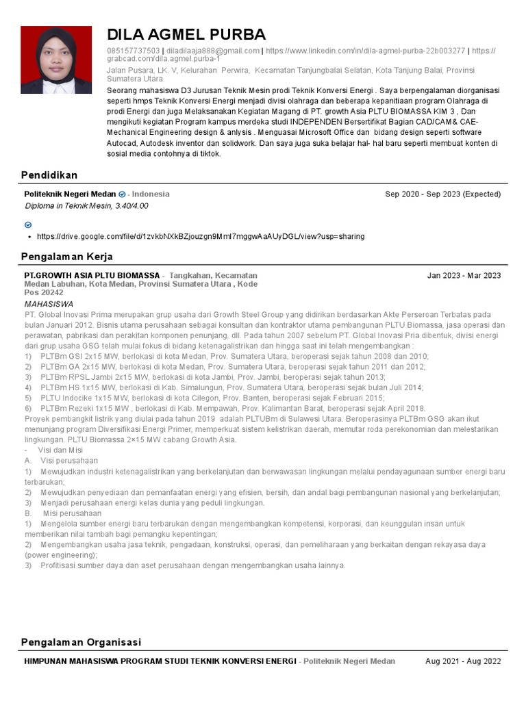 CV Dila Agmel Purba | PDF