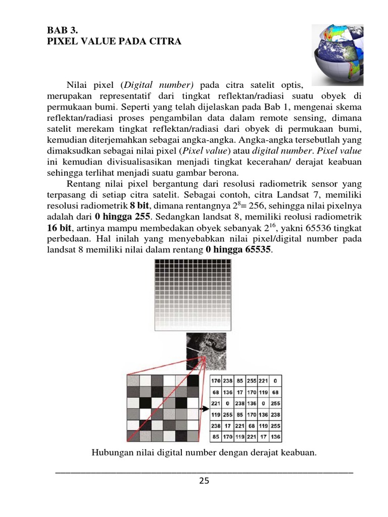 Koreksi Radiometrik Dan Geometrik | PDF