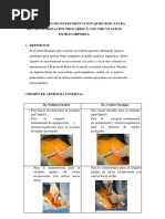 2 Informe - Campos Quirúrgicos - Torres Arteaga Lisbeth | PDF | Cirugía | Color