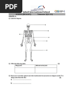 CNN 10 Worksheet and Summary Template | PDF | Human Communication ...