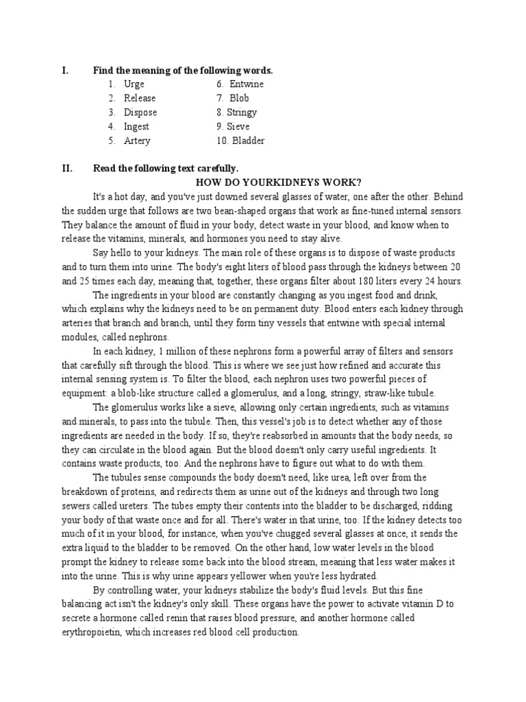 How Do Your Kidneys Work | PDF | Kidney | Urine