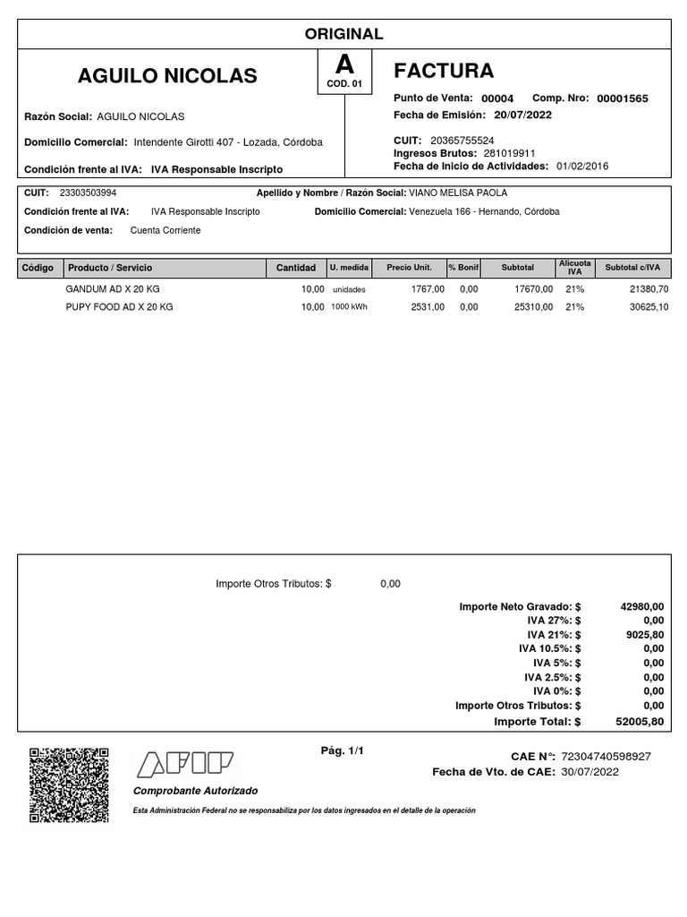 Ejemplo Factura A3 | PDF