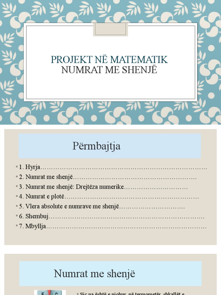 Projekt Në Matematik | PDF