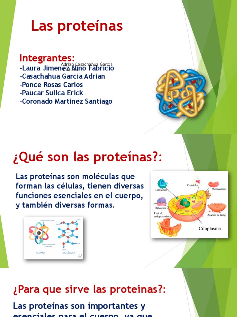 Proteinas | PDF