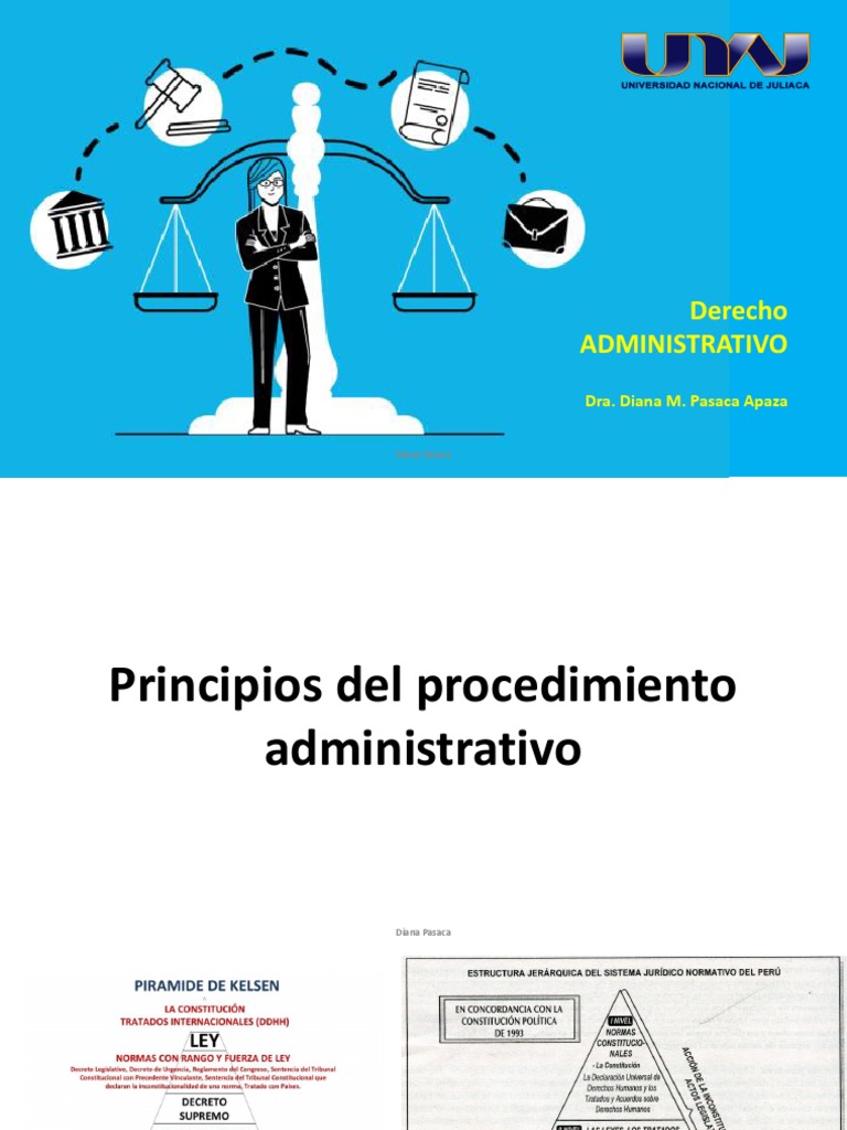 Sesión 5 - Principios Del Procedimiento Administrativo | PDF | Ley procesal | Verdad