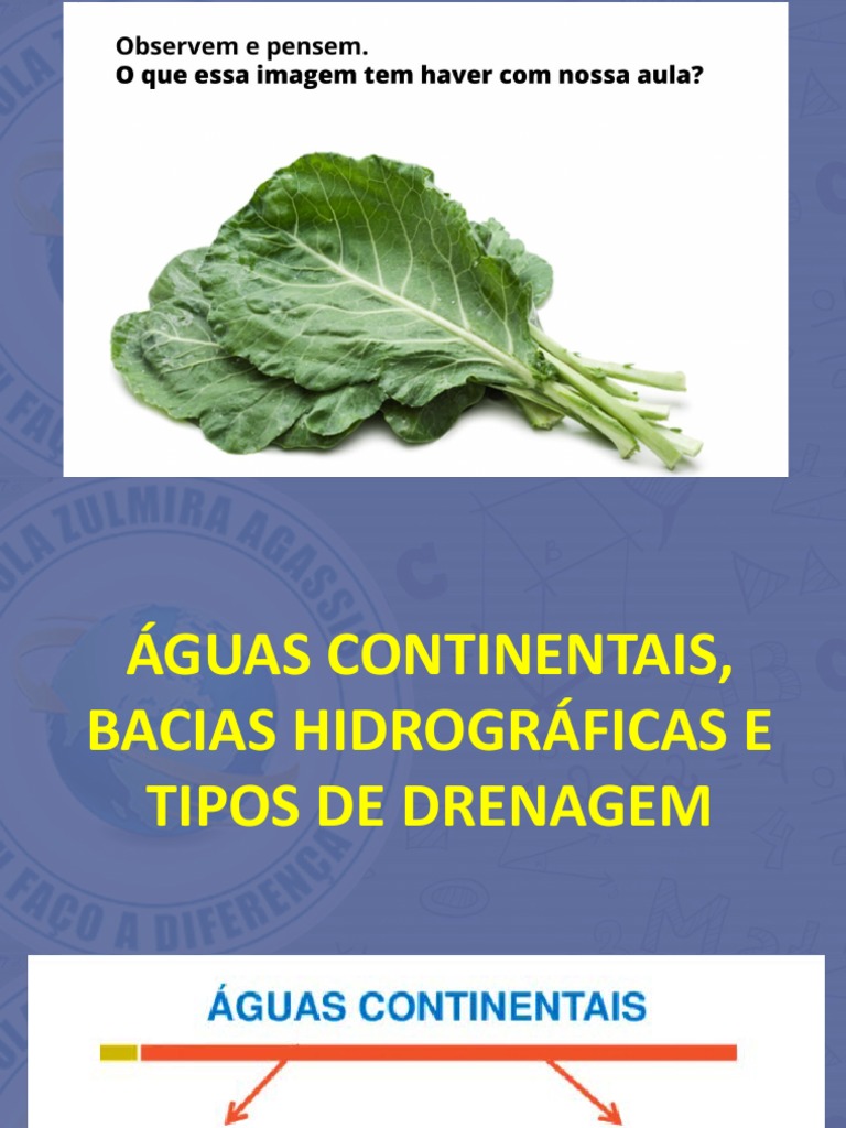 Águas Continentais, Bacias Hidrográficas e Tipos de Drenagem Aula | PDF ...