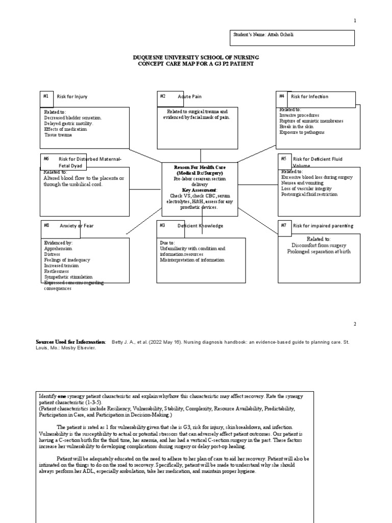 Care Map Template - Final | PDF | Surgery | Caesarean Section