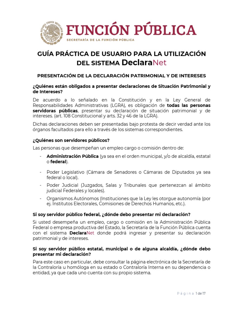 GUIA PRACTICA USUARIO DeclaraNet | PDF | Judicaturas | Administración ...