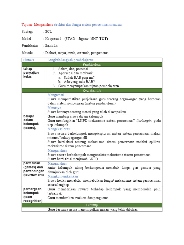 Contoh Strategi Pembelajaran | PDF