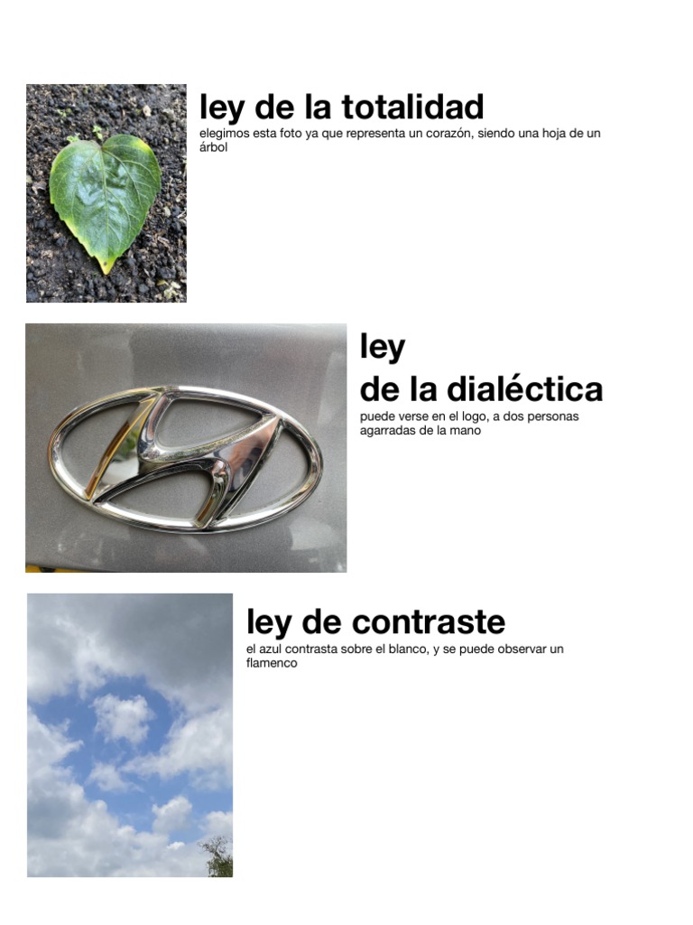 Leyes y Principios | PDF
