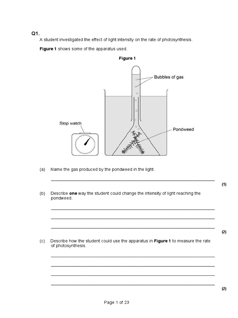 Photosynthesis EQ + MS | Download Free PDF | Photosynthesis | Carbohydrates