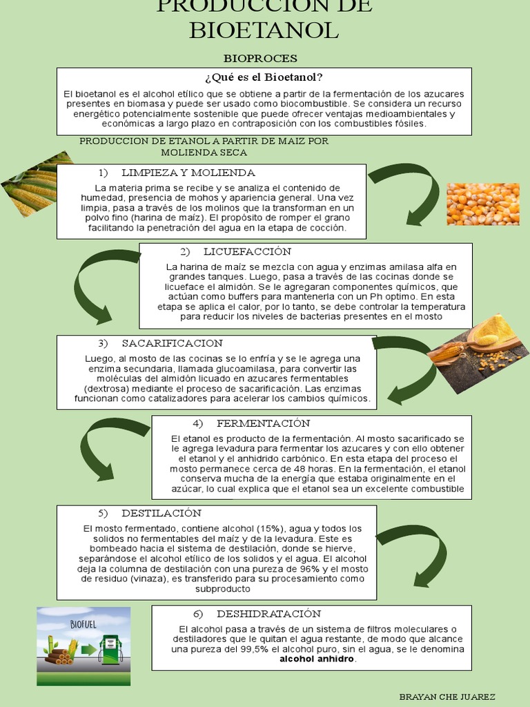 Producción de Bioetanol: Guía Básica | PDF | Combustible de etanol | Etanol