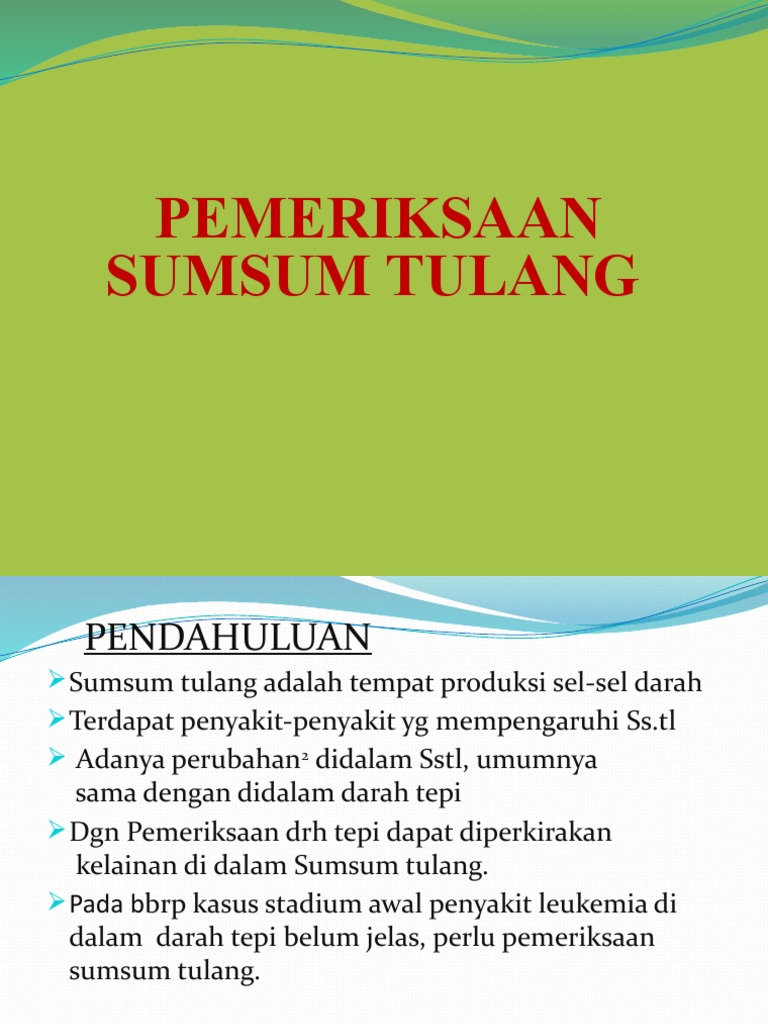 Sumsum Tulang | PDF