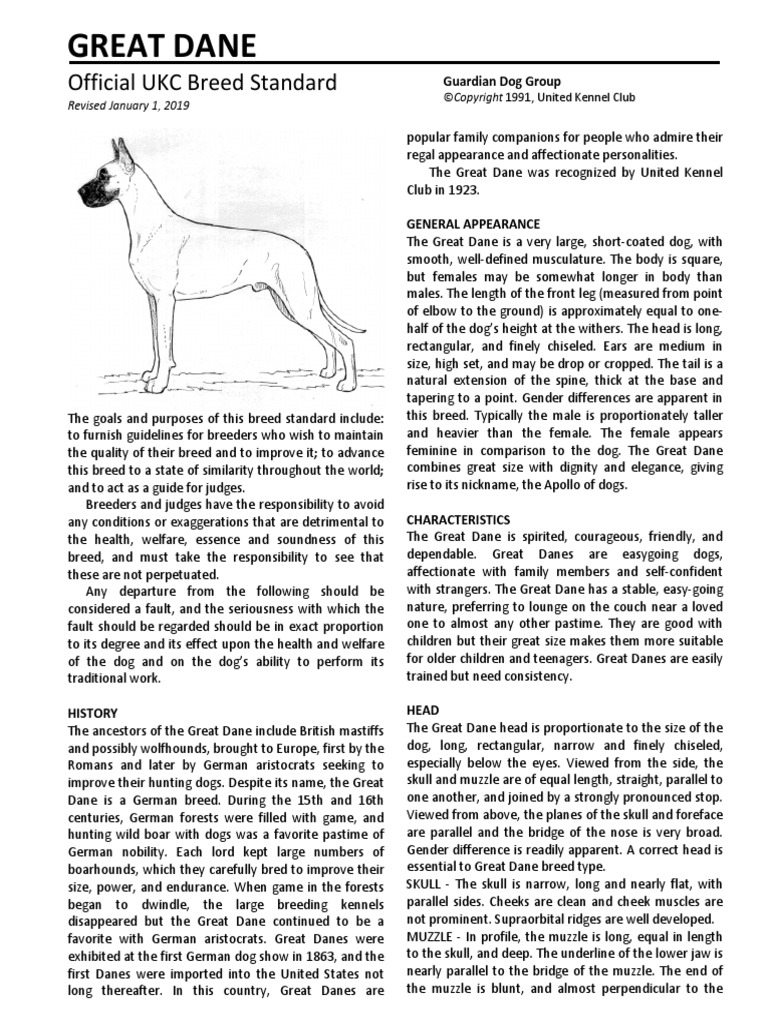 Perro Pdf Domesticated Animals Dogs