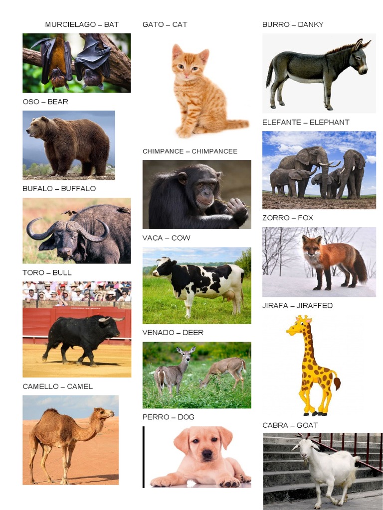100 Animales en Inglés y Español | PDF