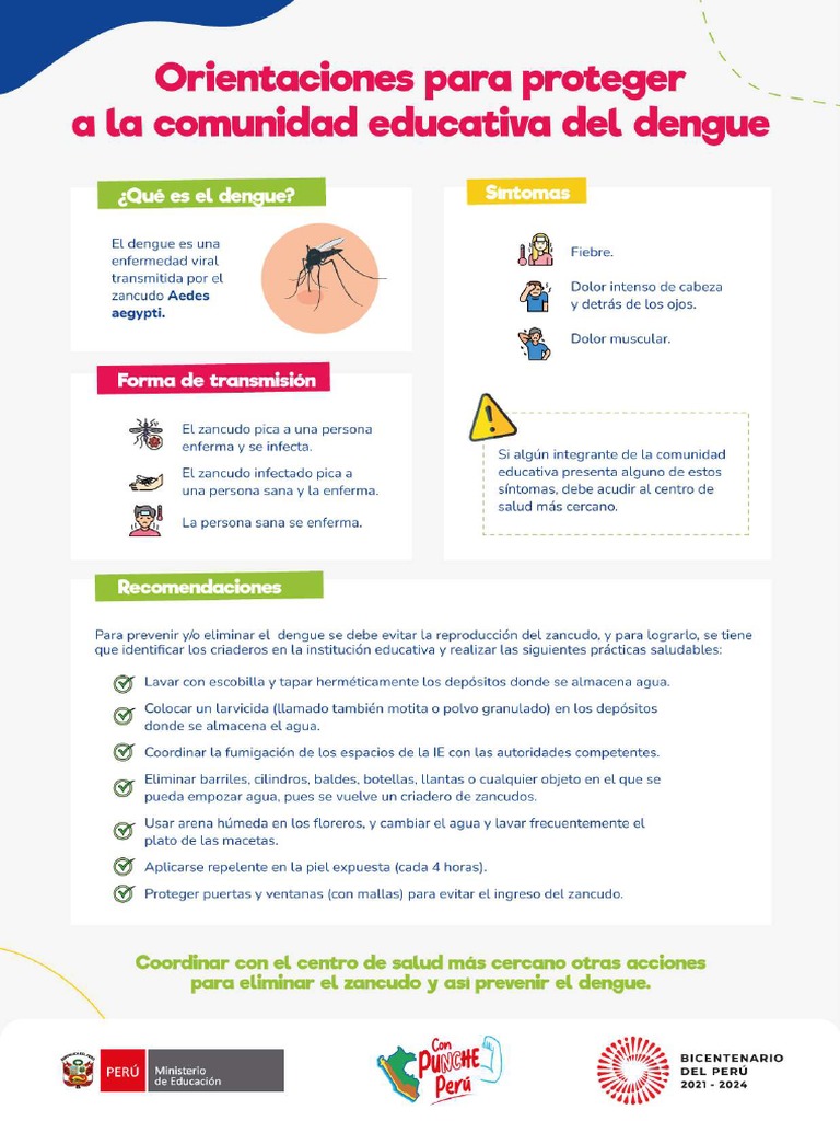 Flyer Dengue | PDF