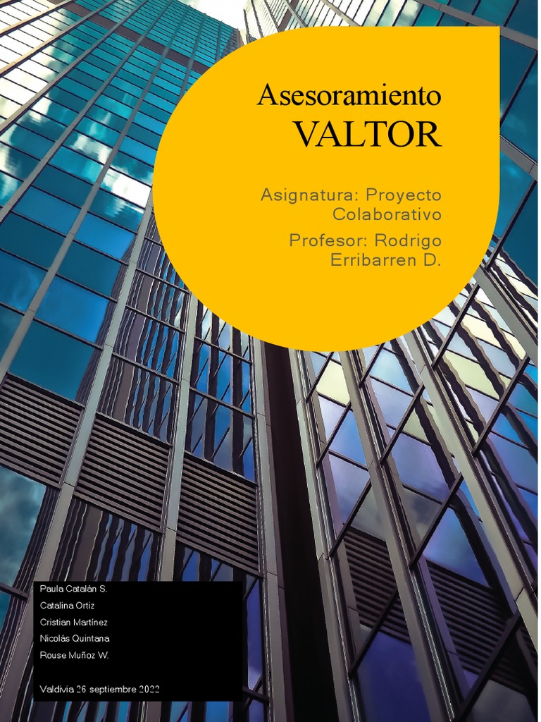 Proyecto. 1.8 Terminado | PDF | Cerveza | Marketing