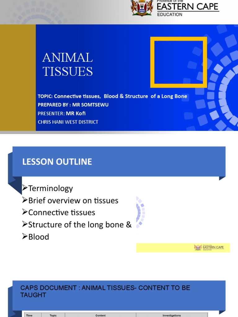 00 Life Sciences Grade 10 PPT Connective Tissues | PDF | Connective ...
