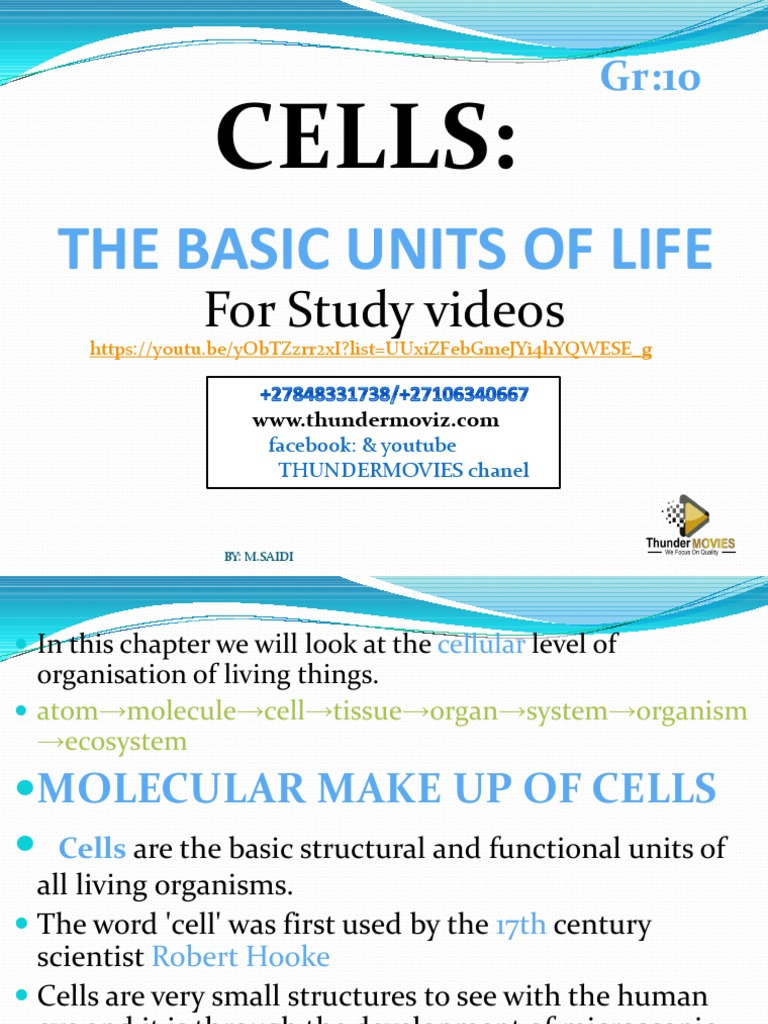 Cells Basic Structure of Life | PDF | Endoplasmic Reticulum | Microscope