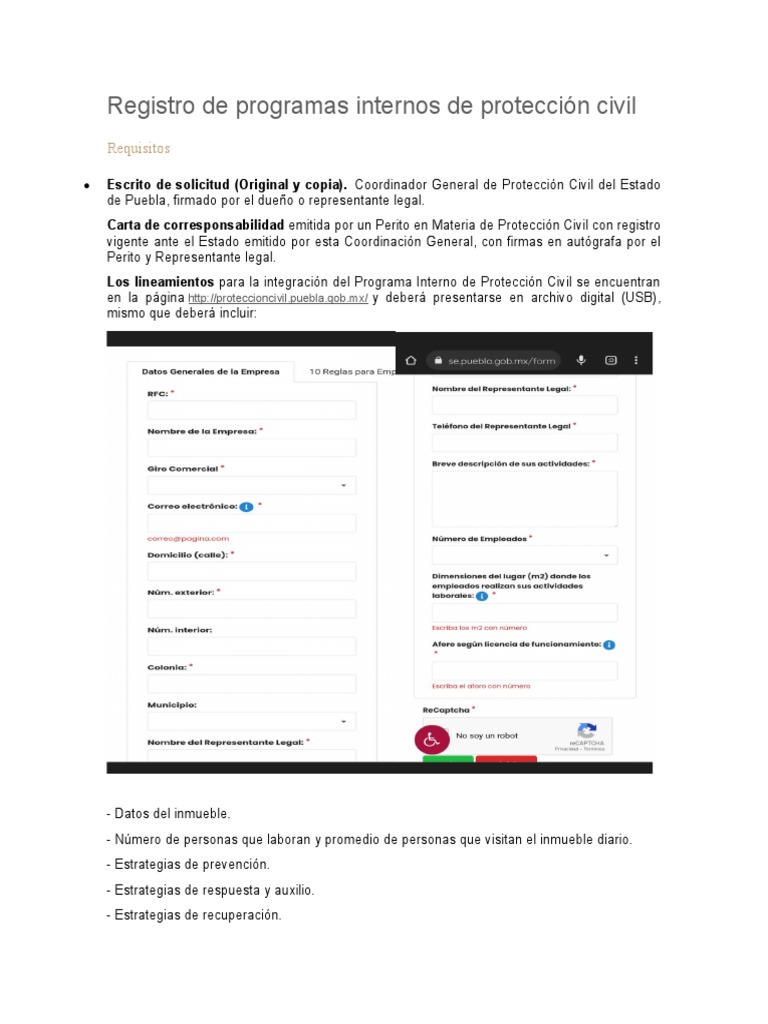 Registro de Programa Interno de Proteccion Civil | PDF | Gobierno