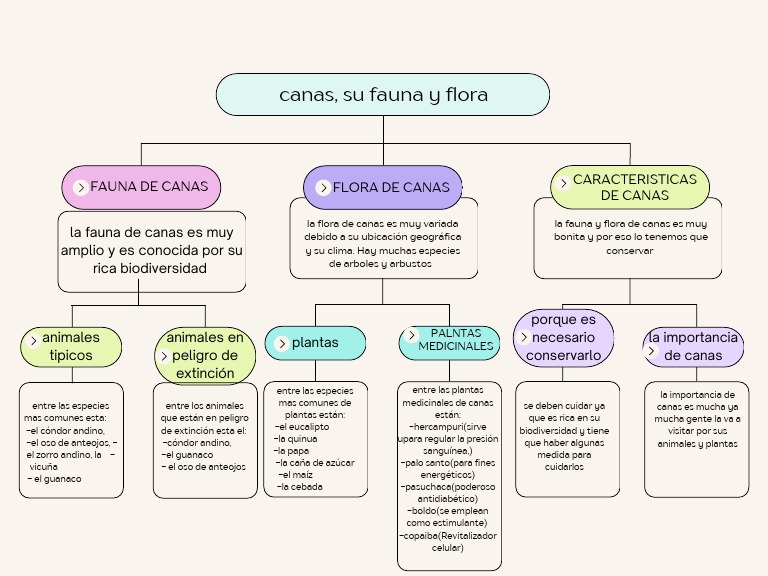 Mapa Conceptual de Fauna y Flora de Canas | PDF | Organismos