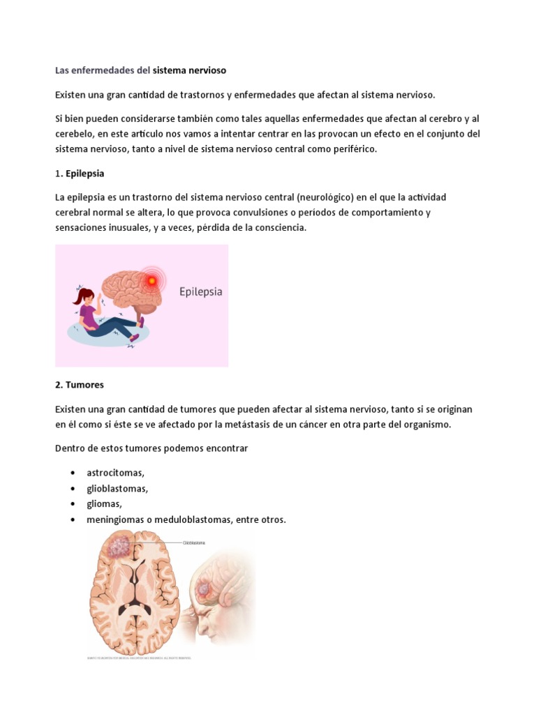 Las Enfermedades Del Sistema Nervioso | PDF | Nervio | Sistema nervioso ...