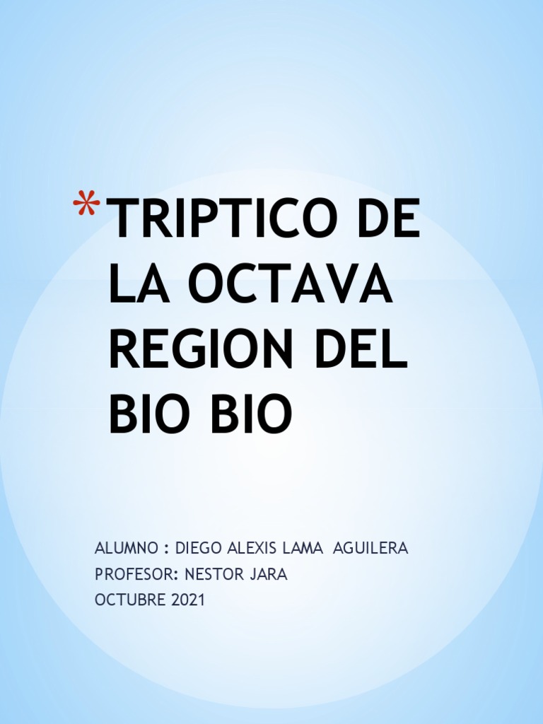 Presentación Region Bio Bio | PDF