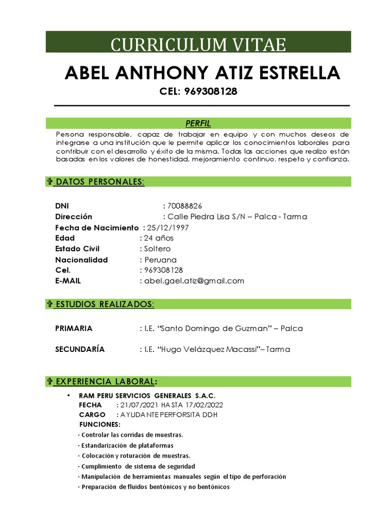 Curriculum Vitae Abel Nuevo | PDF