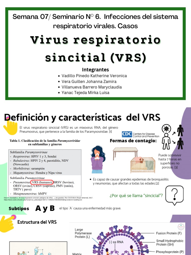 Virus Sincitial Respiratorio Características Y Tratamiento Pdf