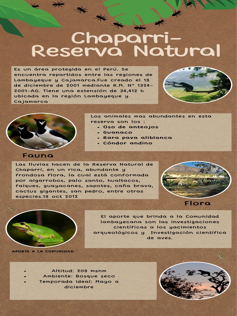Chaparri - Reserva Natural | PDF