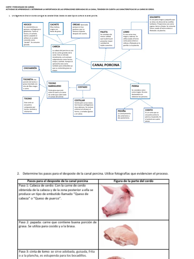 Principales Características de La Canal de Cerdo | PDF | Cerdo | Tocino