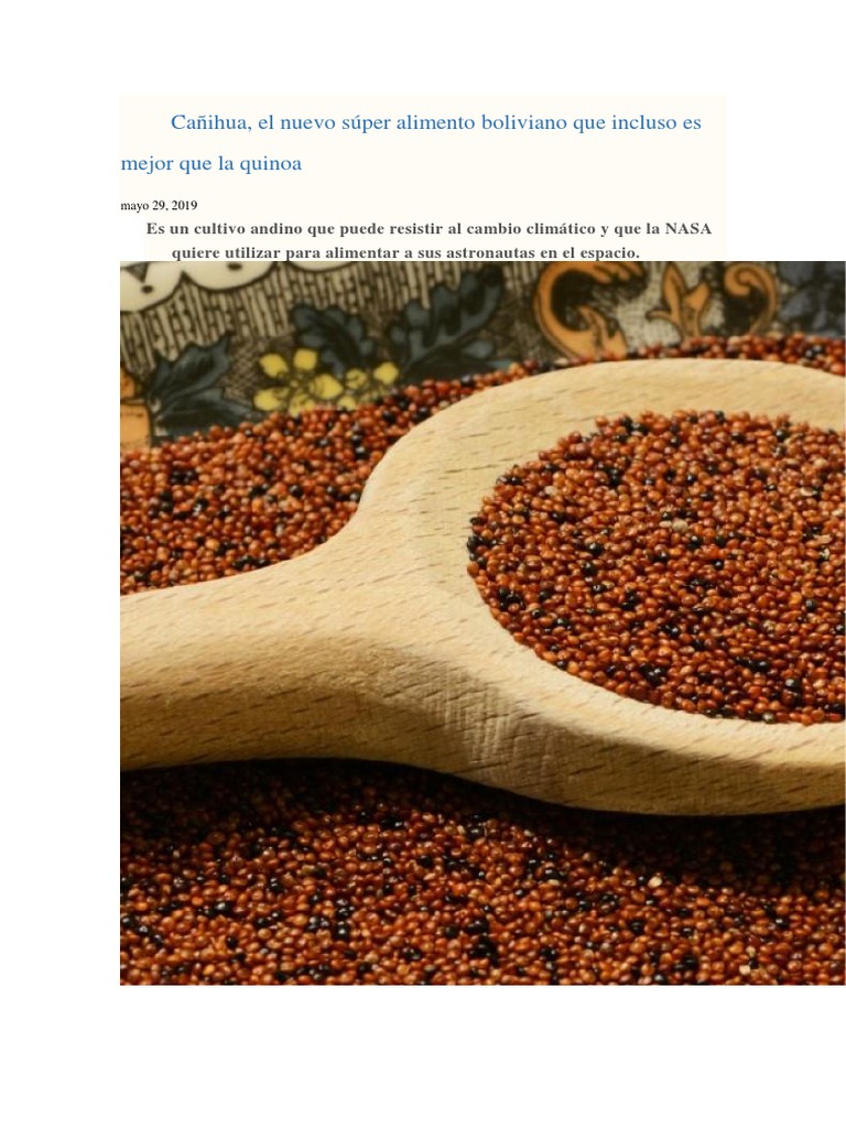 Productos de Cañahua | PDF