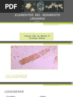 BACTICORT COMPLEX Crema VTA - J | PDF | Corticosteroides ...