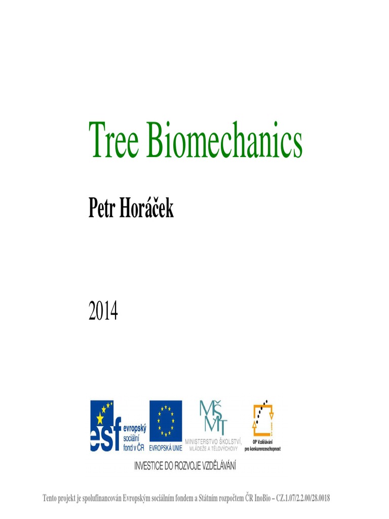 Tree Biomechanics Skriptum | PDF | Strength Of Materials | Deformation ...