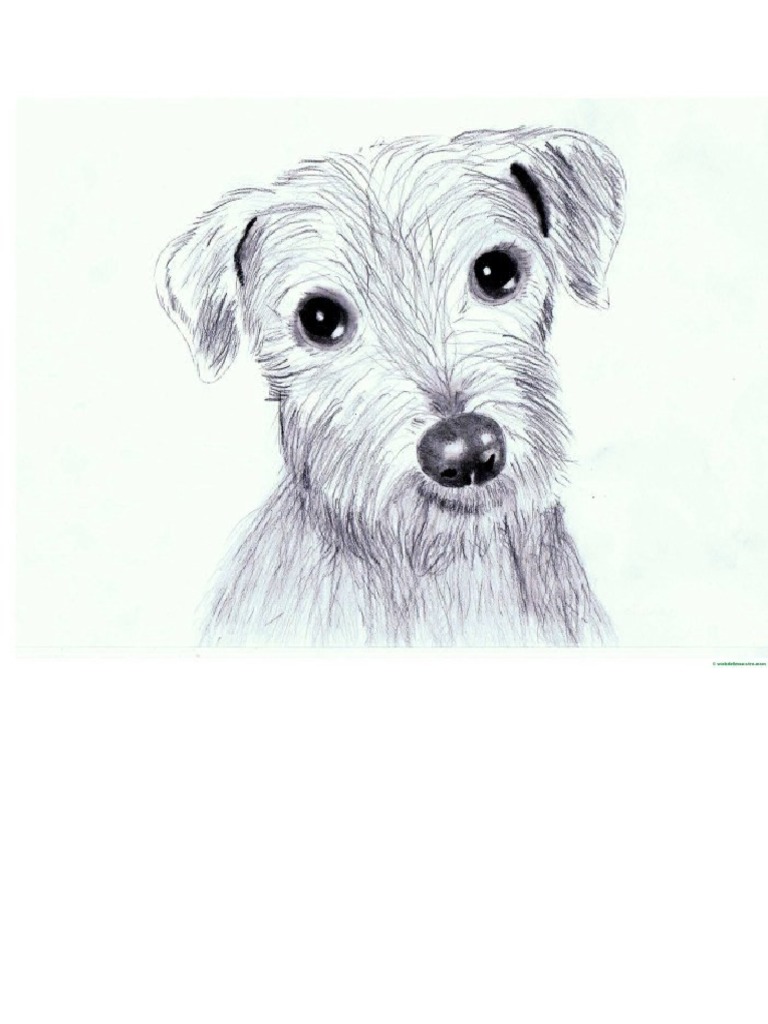 DIFUMINADO | PDF | Dibujo | Sombra