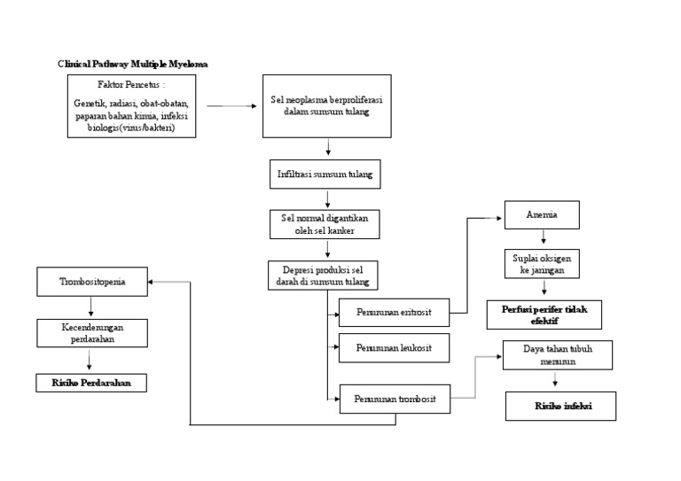 Clinical Pathway Multiple Myeloma | PDF
