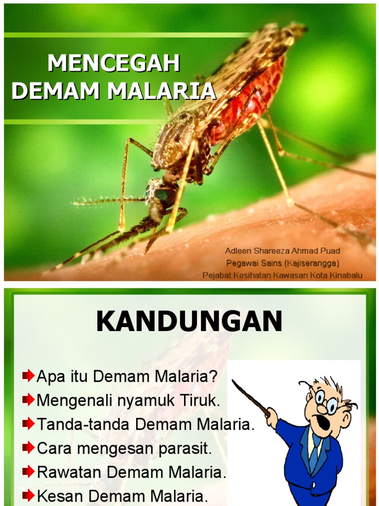 Demam Malaria | PDF