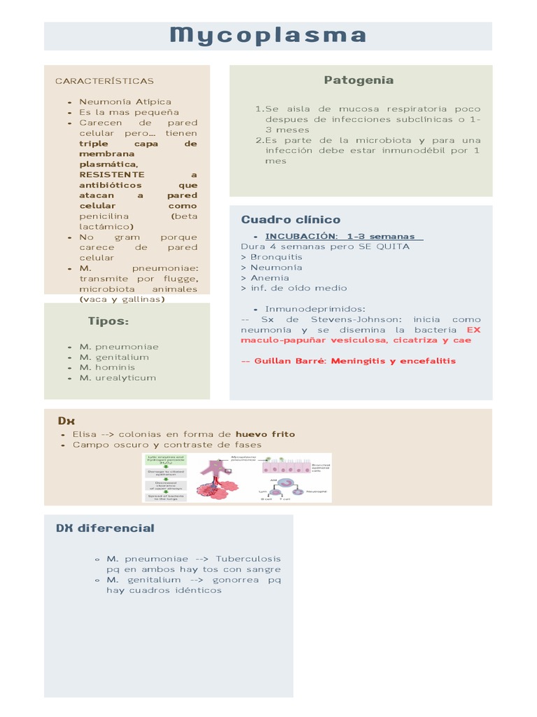 Mycoplasma y Chlamydia: Patogenia y Diagnóstico | PDF | Diarrea ...