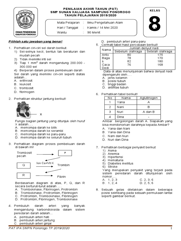 6 Soal Pat Ipa K-8 | PDF
