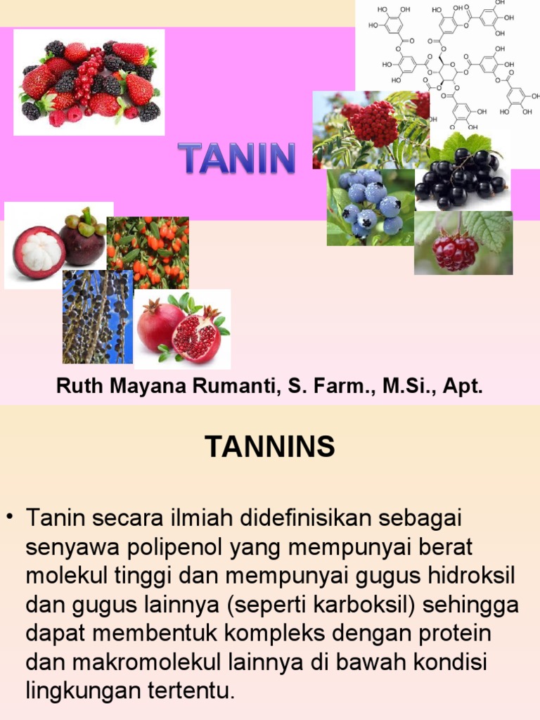 Tanin PPT Pert 4 | PDF