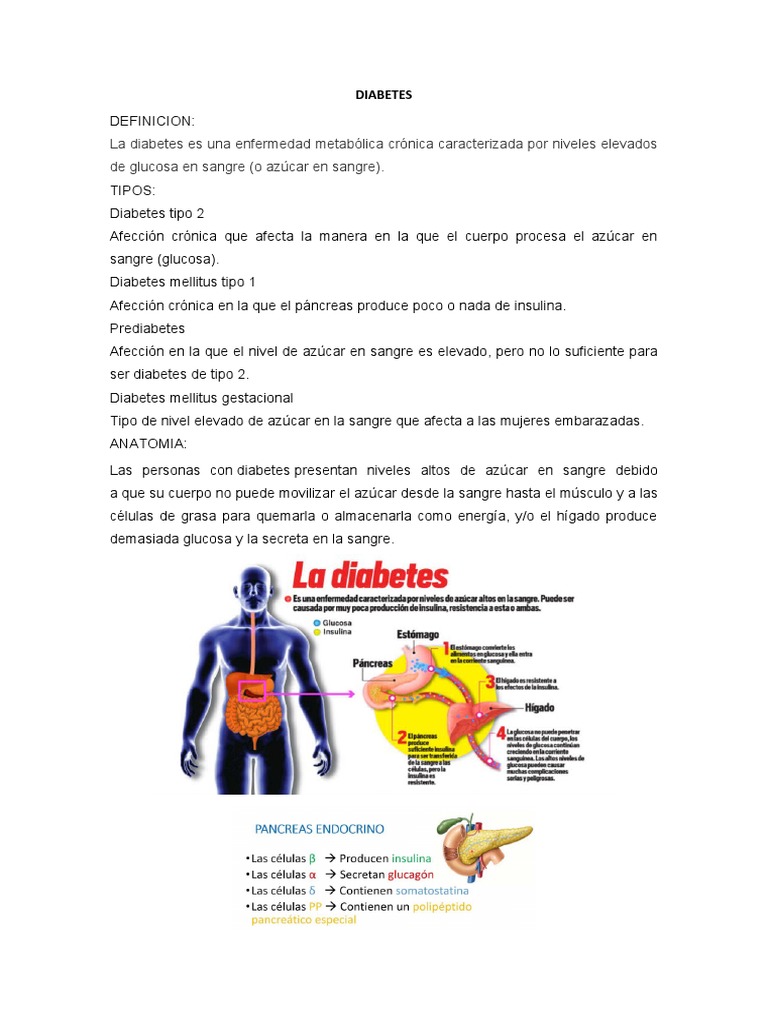 Diabetes Definicion | PDF