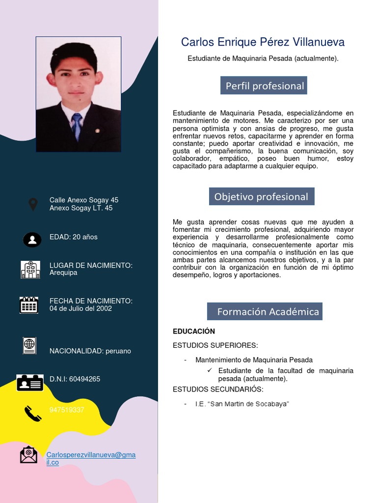 Carlos Enrique Pérez Villanueva: Perfil Profesional | PDF | Aprendizaje ...