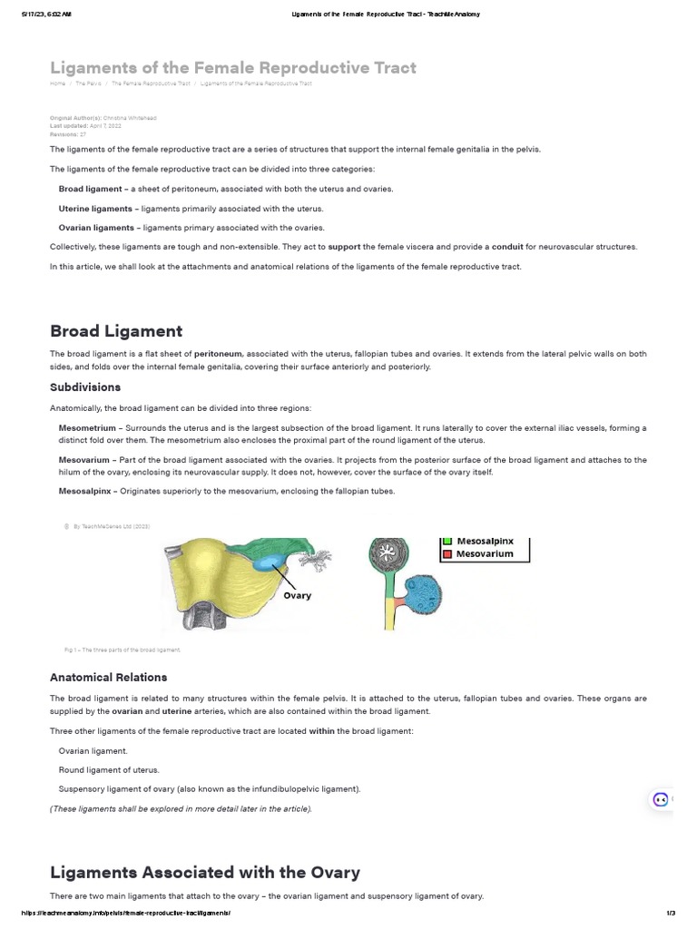 Anatomy of Female Reproductive Ligaments | PDF | Uterus | Ovary