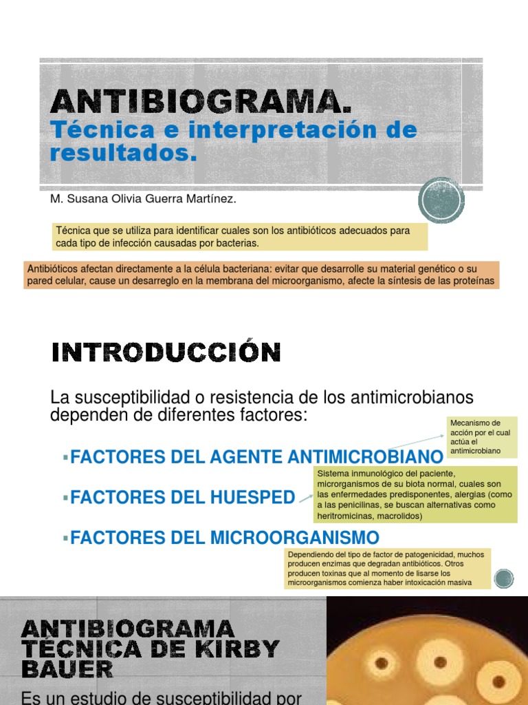 Antibiograma Final | PDF | Penicilina | Microbiología