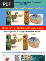 Cbse Class Ix Animal Tissue Flow Chart | PDF | Epithelium | Tissue ...