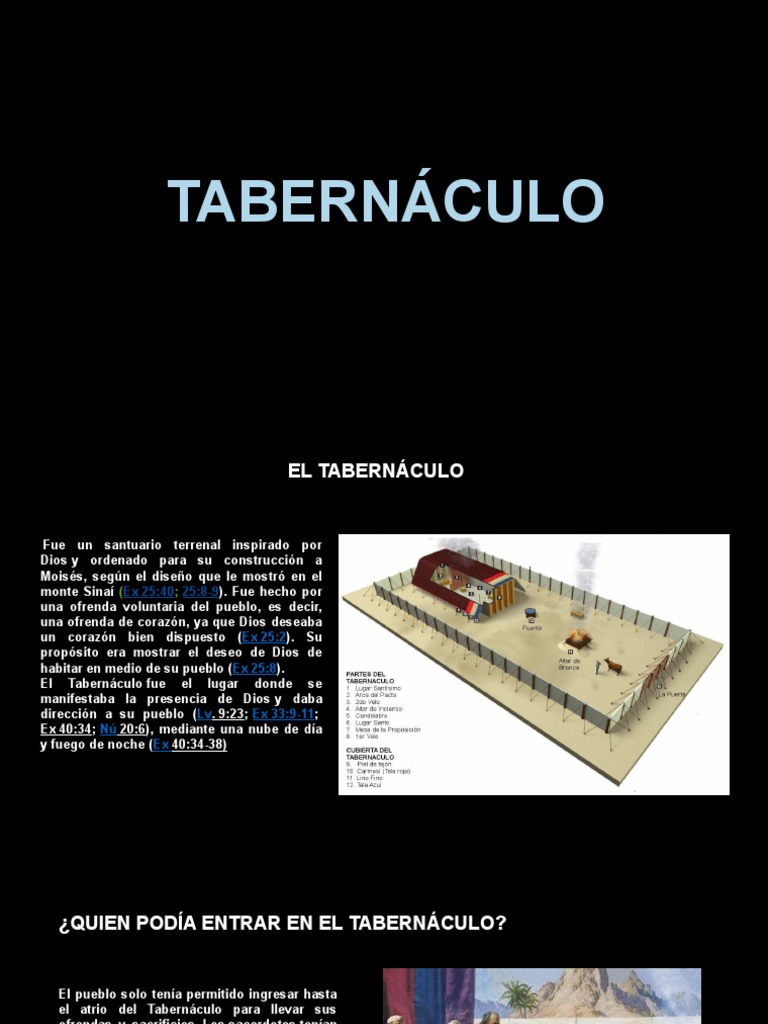 TABERNACULO | PDF | Arca de la Alianza | Santo de los santos